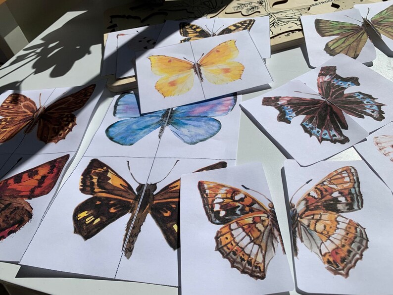 20 Watercolor Matching Butterfly Cards, Insect Cards, Instant Digital ...