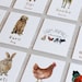 Farm Animals in Maori & English Flashcards, Instant Digital Download ...