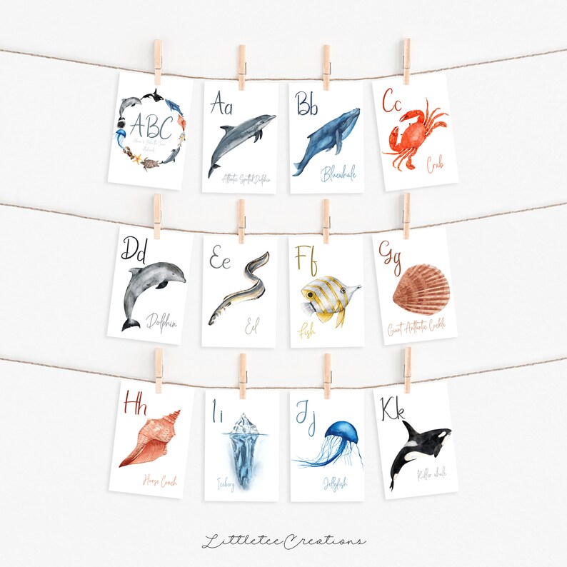 ABC Ocean Flashcards, Instant Digital Download, PNG Printable, Little ...