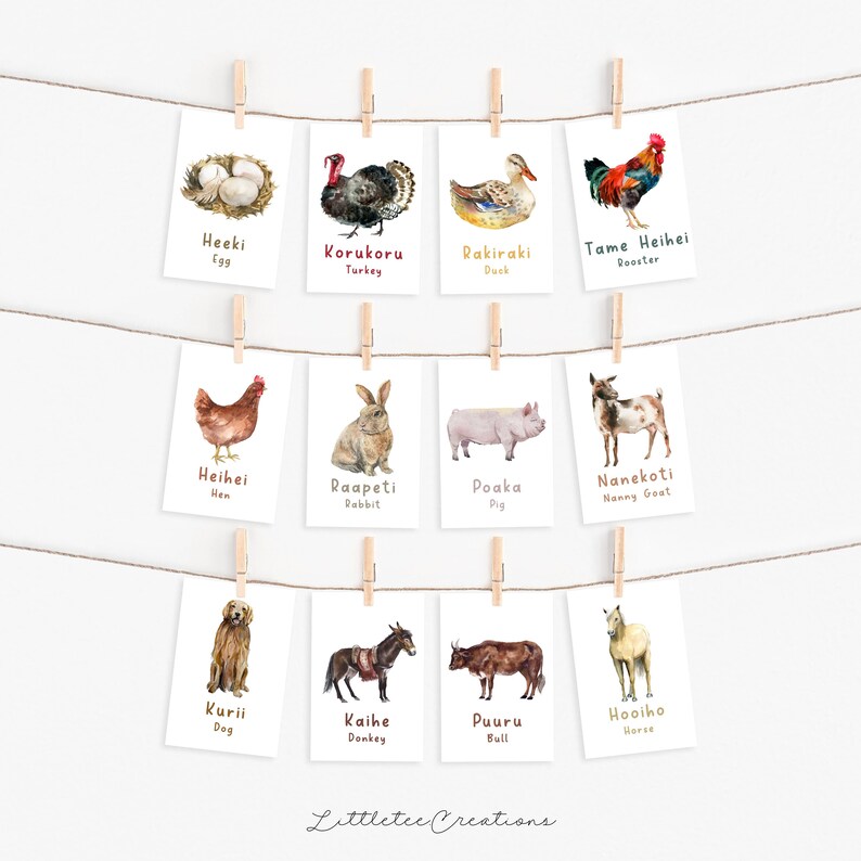 Farm Animals in Maori & English Flashcards, Instant Digital Download ...