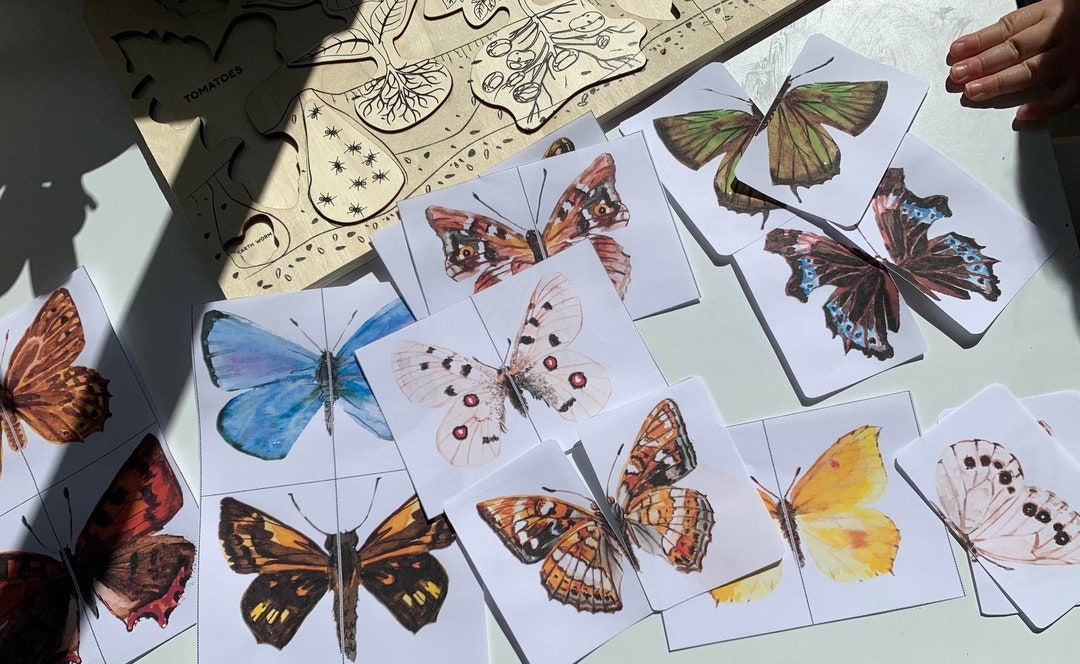 20 Watercolor Matching Butterfly Cards, Insect Cards, Instant Digital ...