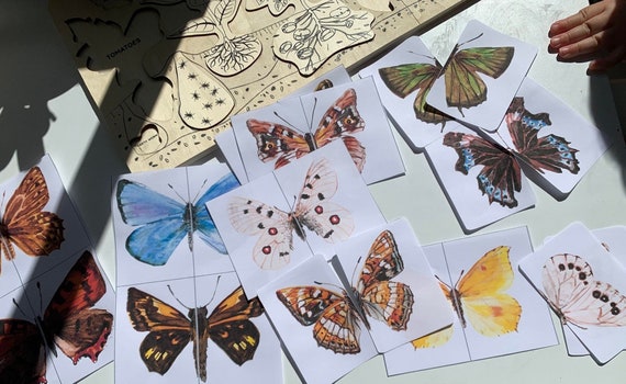 20 Watercolor Matching Butterfly Cards Insect Cards Instant - Etsy