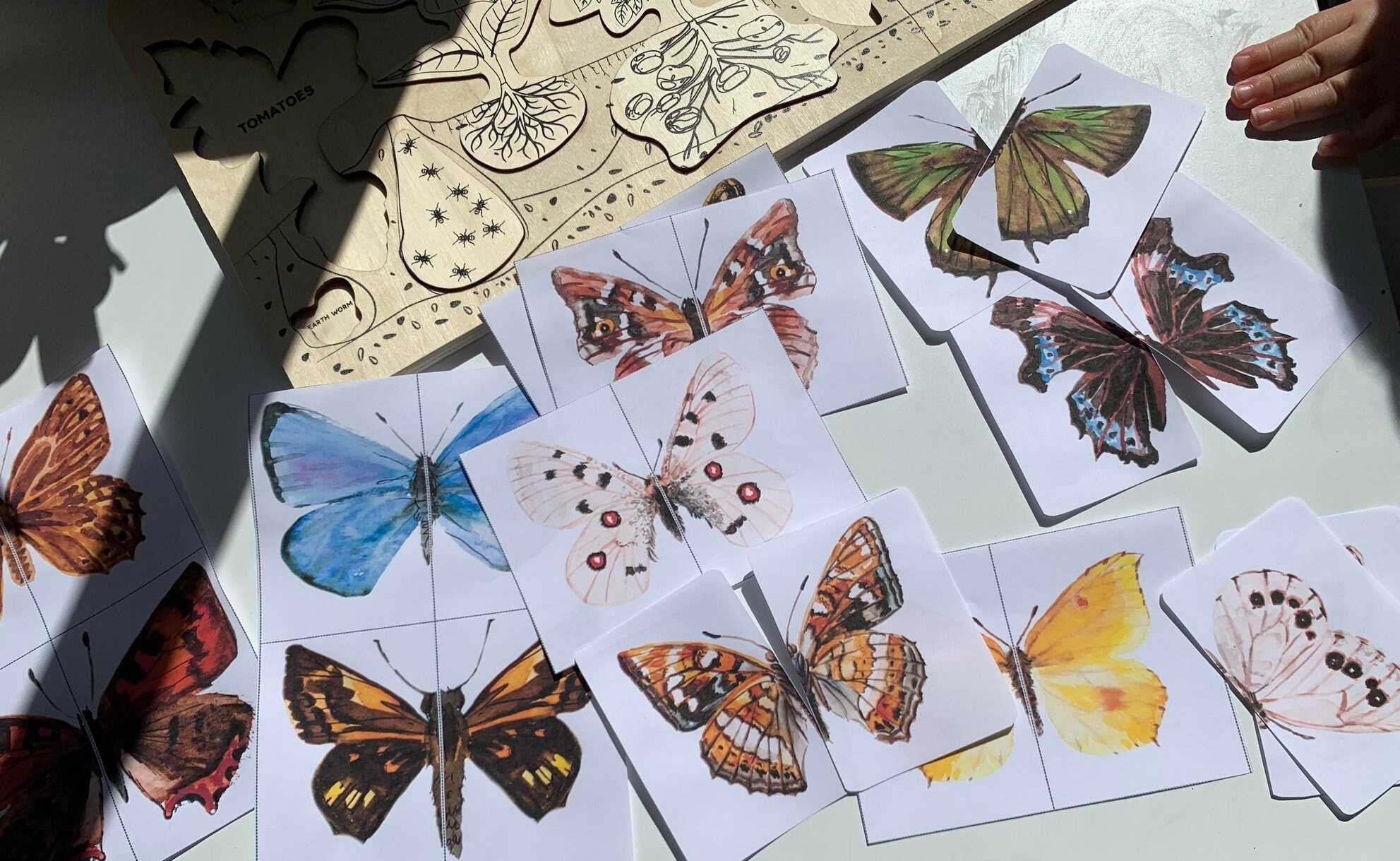 20 Watercolor Matching Butterfly Cards, Insect Cards, Instant Digital ...