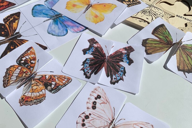 20 Watercolor Matching Butterfly Cards, Insect Cards, Instant Digital ...