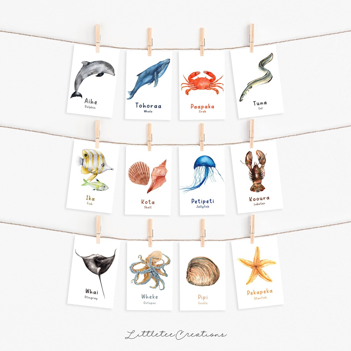 Ocean Animals in Maori & English Flashcards, Instant Digital Download ...
