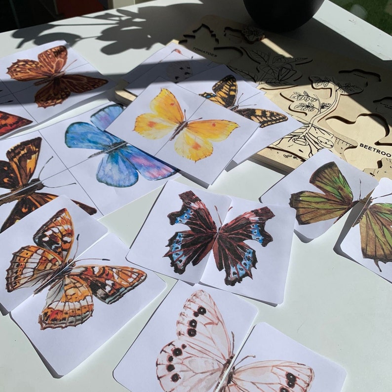 20 Watercolor Matching Butterfly Cards, Insect Cards, Instant Digital ...