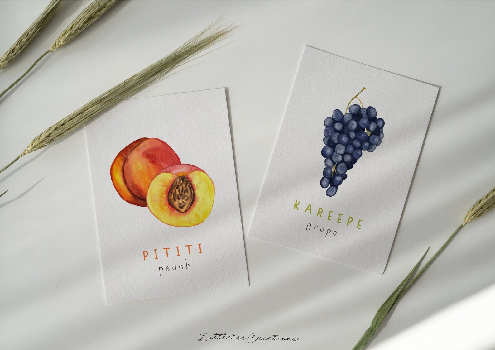 Watercolor Fruit Flashcards in Maori & English With Matching Fruits ...