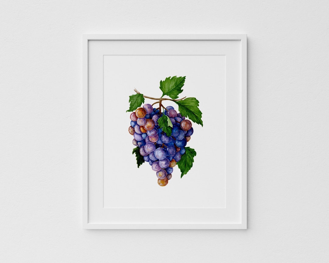 Grape Print, Black Grapes Watercolor Poster, Fruit Brunch, Botanical ...