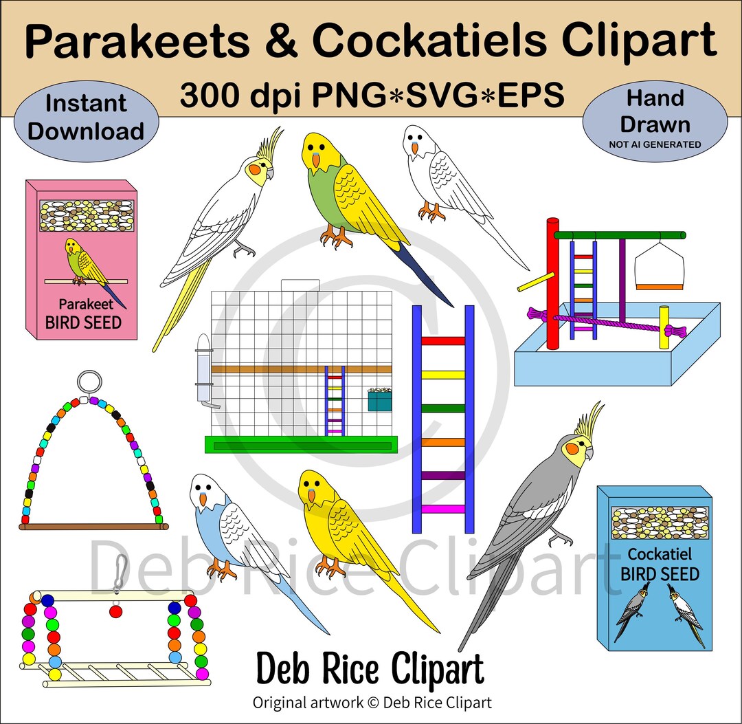 Parakeets and Cockatiels Clipart - Budgies, Cockatiels, Playground ...
