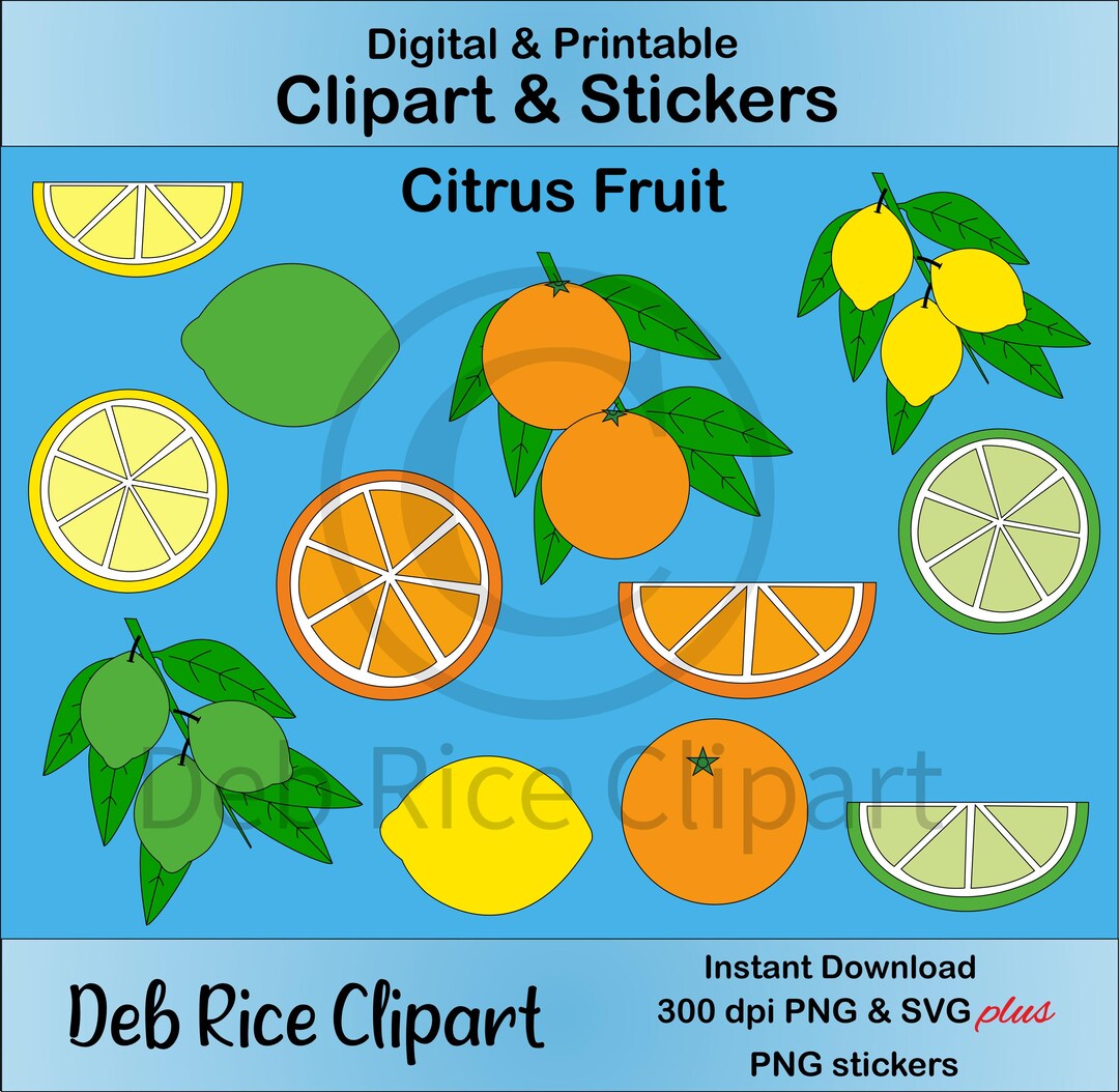 Citrus Fruit Clipart & Stickers Set Oranges, Limes, Lemons, Slices ...