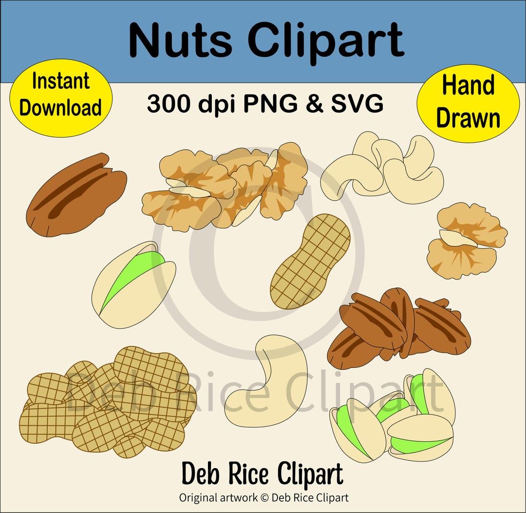 Nuts Clipart - Walnuts, Pecans, Cashews, Pistachios, PNG, SVG, Instant ...