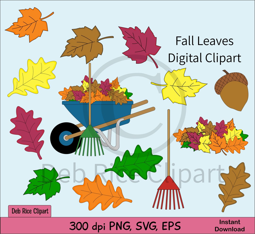 Fall Leaves Digital Clipart Fall Oak Leaves, Fall Maple Leaves, Leaves ...