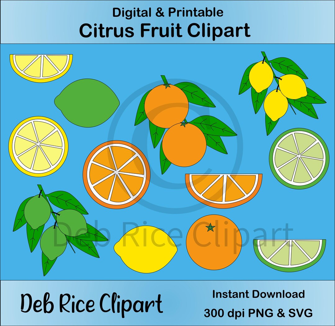 Citrus Fruit Clipart Oranges, Limes, Lemons, Slices, Wedges, on ...