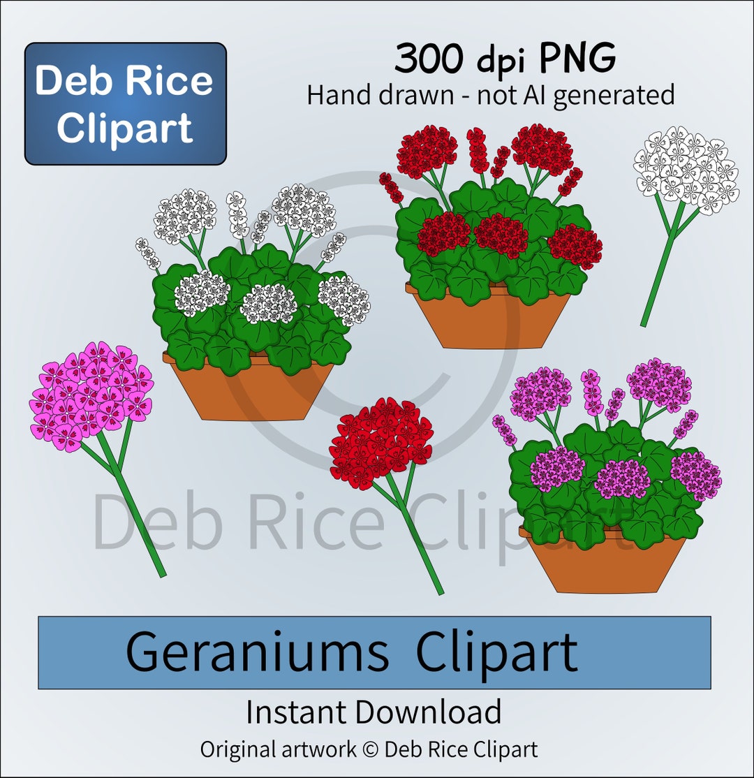 Geraniums PNG Clipart Potted Geraniums, Geranium Stems, Scrapbook Page ...