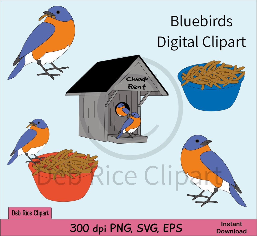Bluebirds Digital Clipart Bluebird Eating Mealworm, Bluebirds at Cheep ...