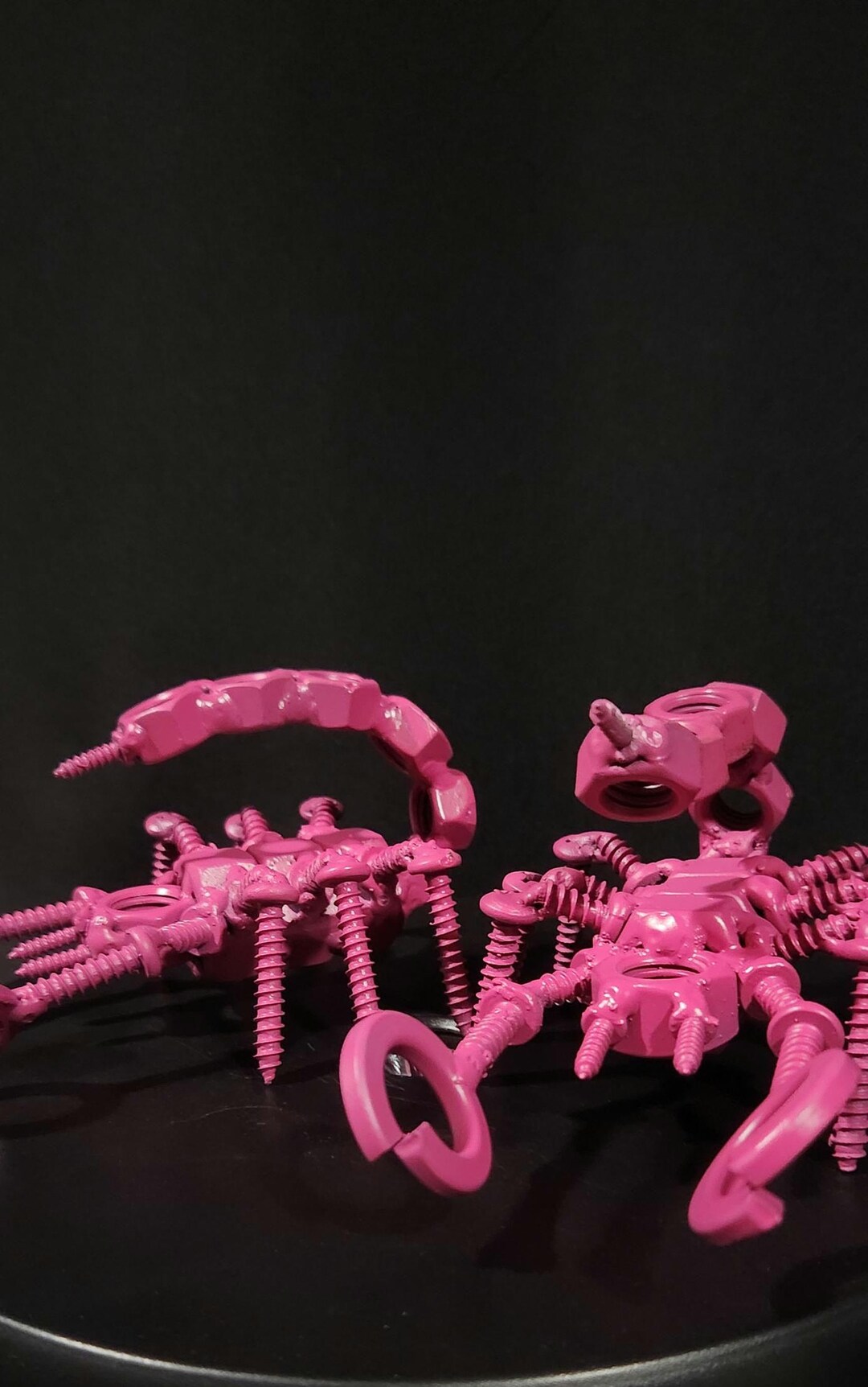 Pink Lady Scorpions - Etsy