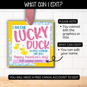 Valentine's Day Lucky Rubber Duck Non Candy Valentines Treat Goodie Bag ...