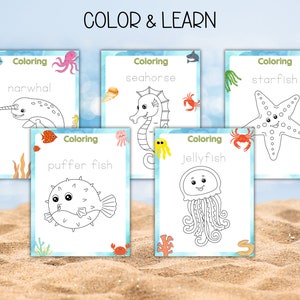 Toddler Ocean Busy Book | Preschool Curriculum ABC Math Counting ...