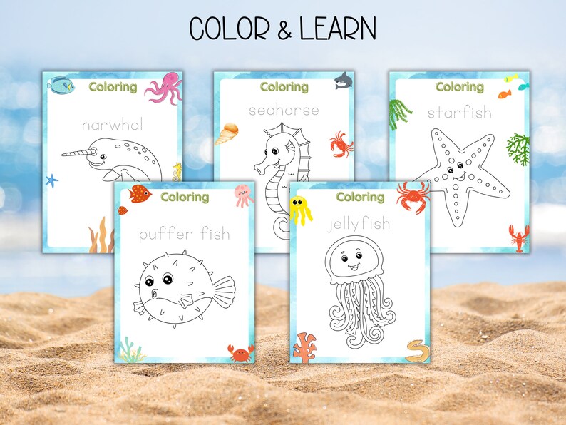 Toddler Ocean Busy Book | Preschool Curriculum ABC Math Counting ...