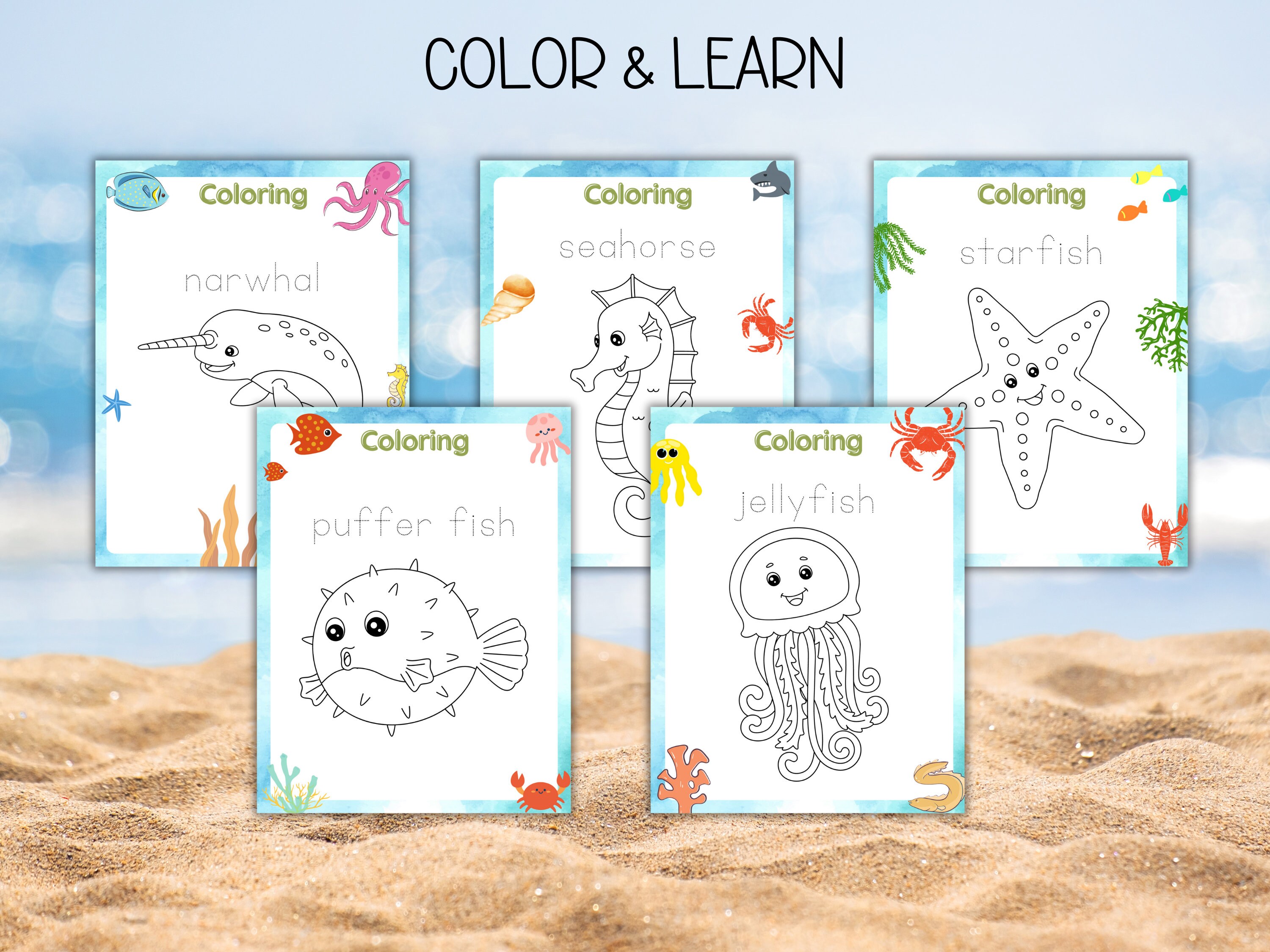 Toddler Ocean Busy Book | Preschool Curriculum ABC Math Counting ...