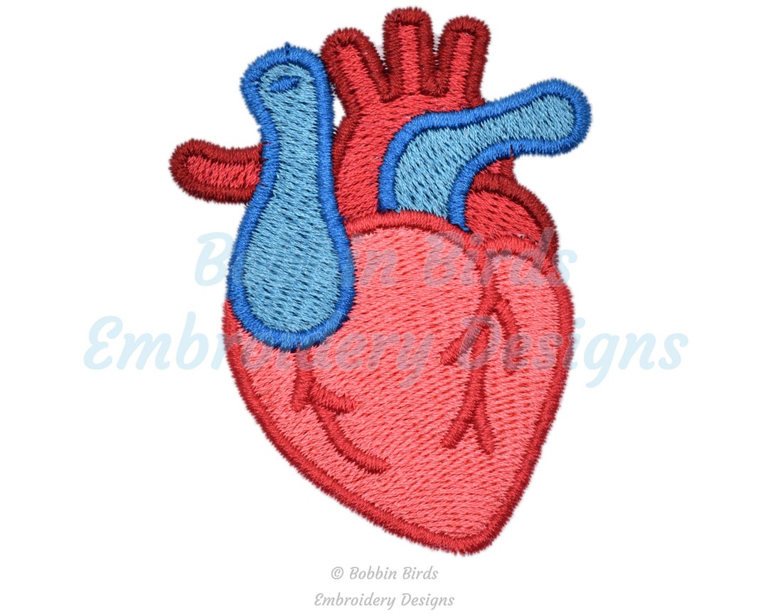 Anatomical Heart Machine Embroidery Design File - 8 Sizes - Instant ...