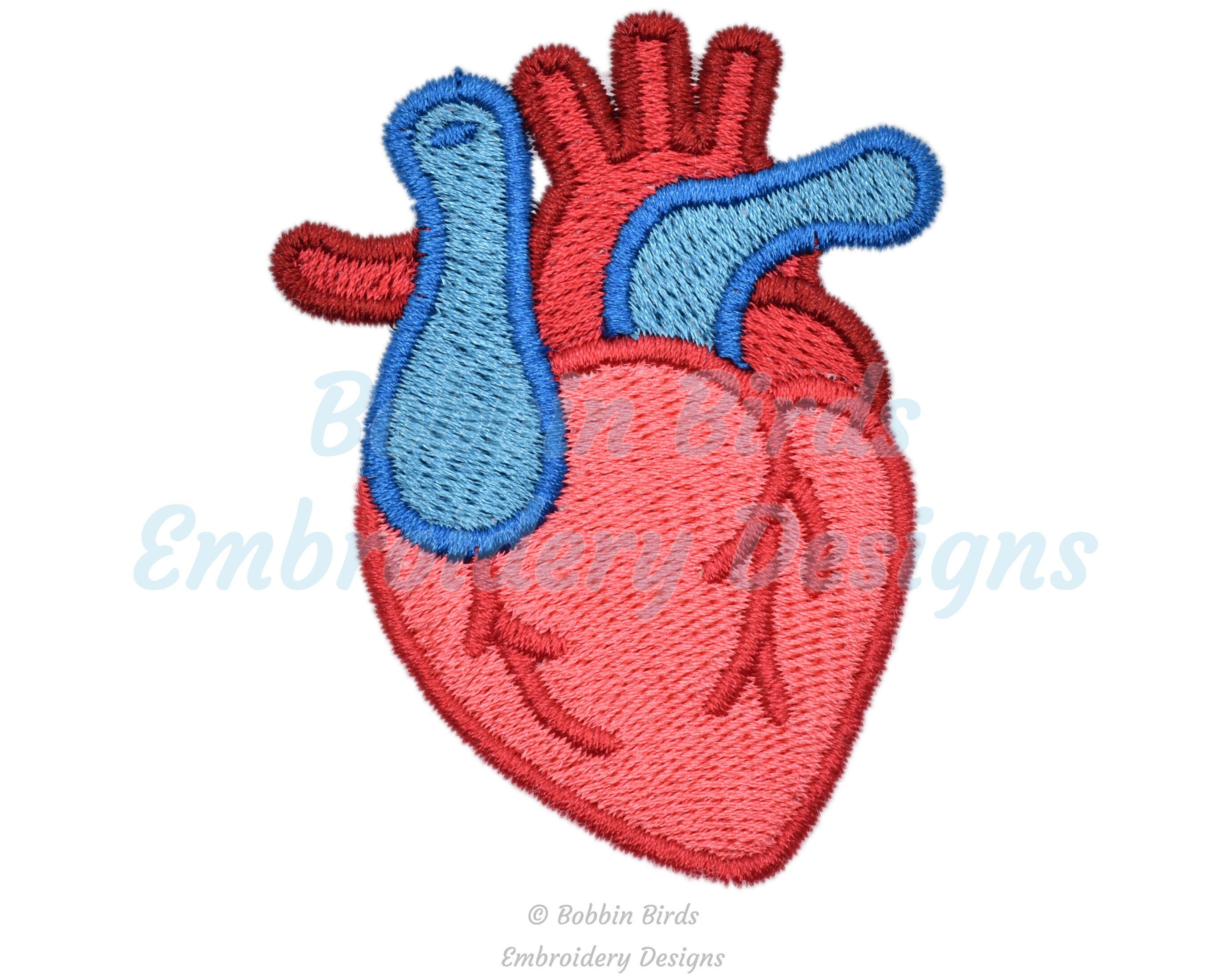 Anatomical Heart Machine Embroidery Design File 8 Sizes - Etsy