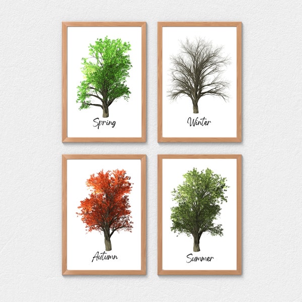 4 Seasons - Etsy
