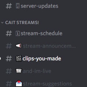 Custom Discord Server Creation - Etsy
