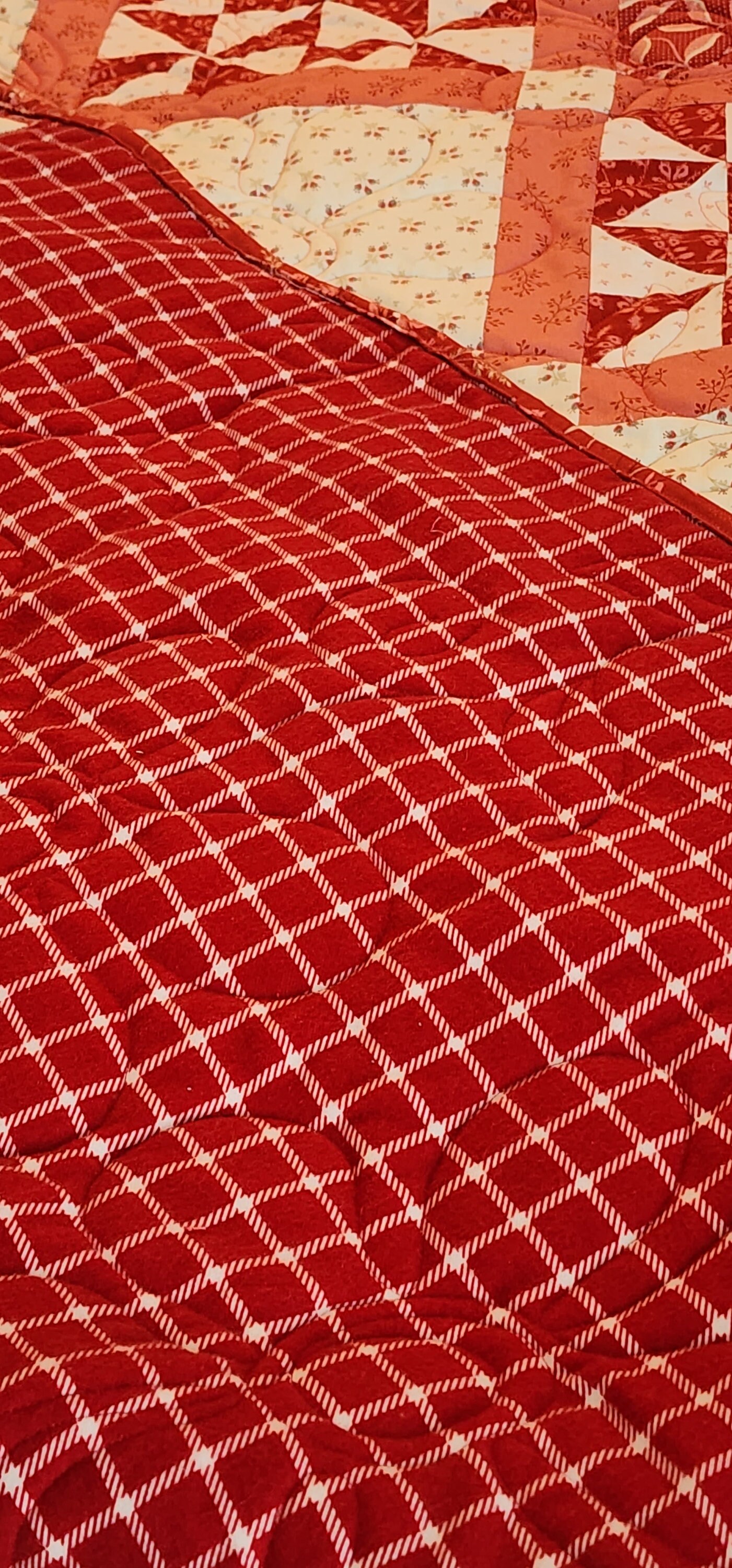 Red & White Block of the Month 2023 Quilt. Double Batting and Flannel ...
