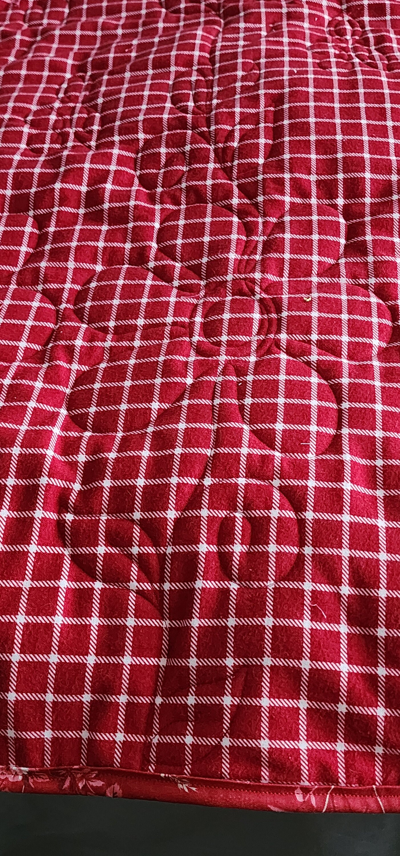 Red & White Block of the Month 2023 Quilt. Double Batting and Flannel ...