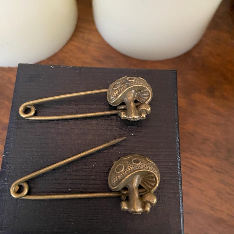Mushroom Pin - Etsy