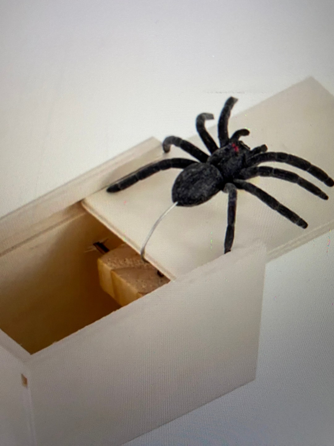 IT'S SO FUNNY! Jumping Spider Box. No Batteries Needed. - Etsy