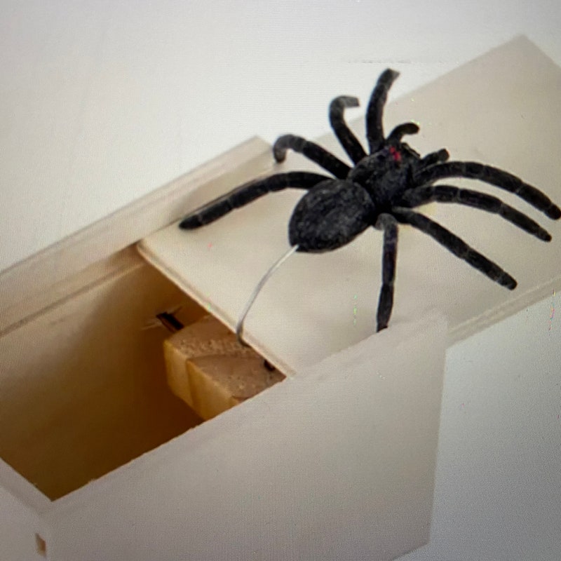 Spider Jewelry - Etsy