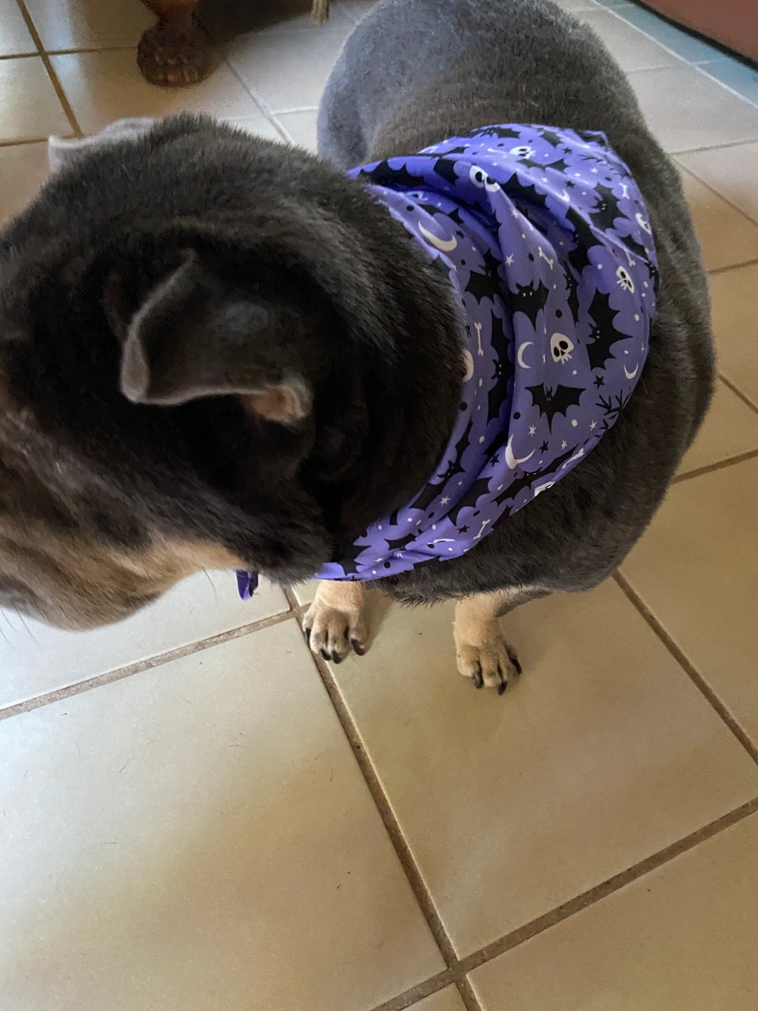 Pet DBL Sided Purple Bandana - Etsy