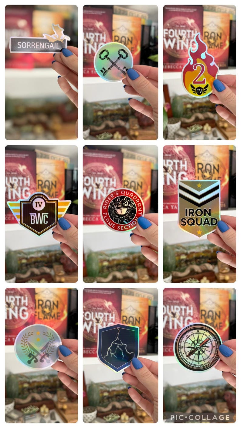 Fourth Wing | Iron Flame Inspired Flight Jacket Patch Stickers - Etsy