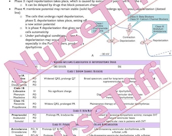ACLS advanced Cardiac Life Support AHA Certification Study Guide - Etsy