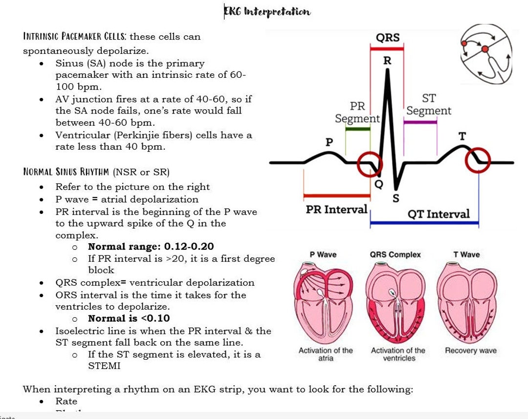 EKG and Hemodynamics, High Acuity - Etsy