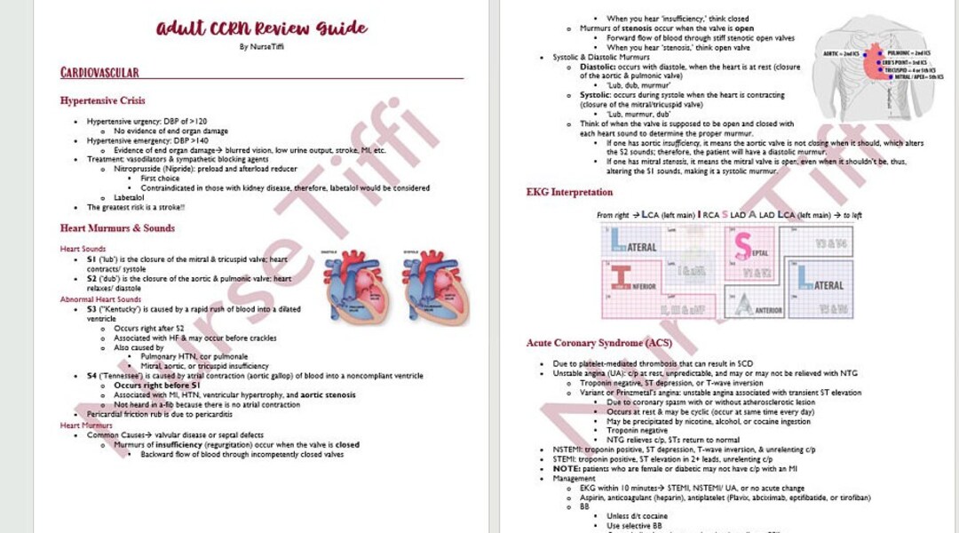Adult CCRN Comprehensive Review, Digital File - Etsy