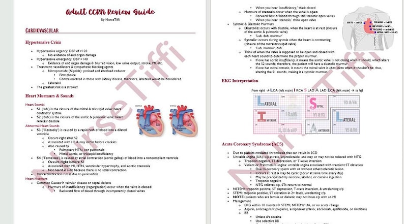 Adult CCRN Comprehensive Review, Digital File - Etsy