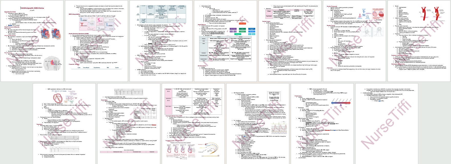 CCRN Cardiovascular Review - Etsy