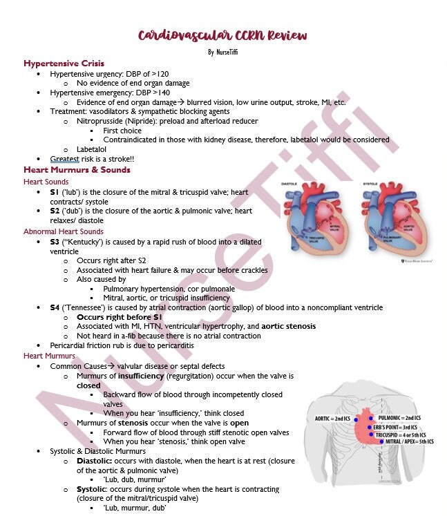 CCRN Cardiovascular Review - Etsy