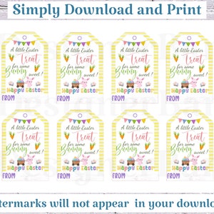 Easter Treat for Some Bunny Sweet Easter Gift Basket Tag-party Favor ...