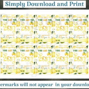 Easy Peasy LEMON SQUEEZY, You Are the Zest, Thanks for Making Lemonade ...