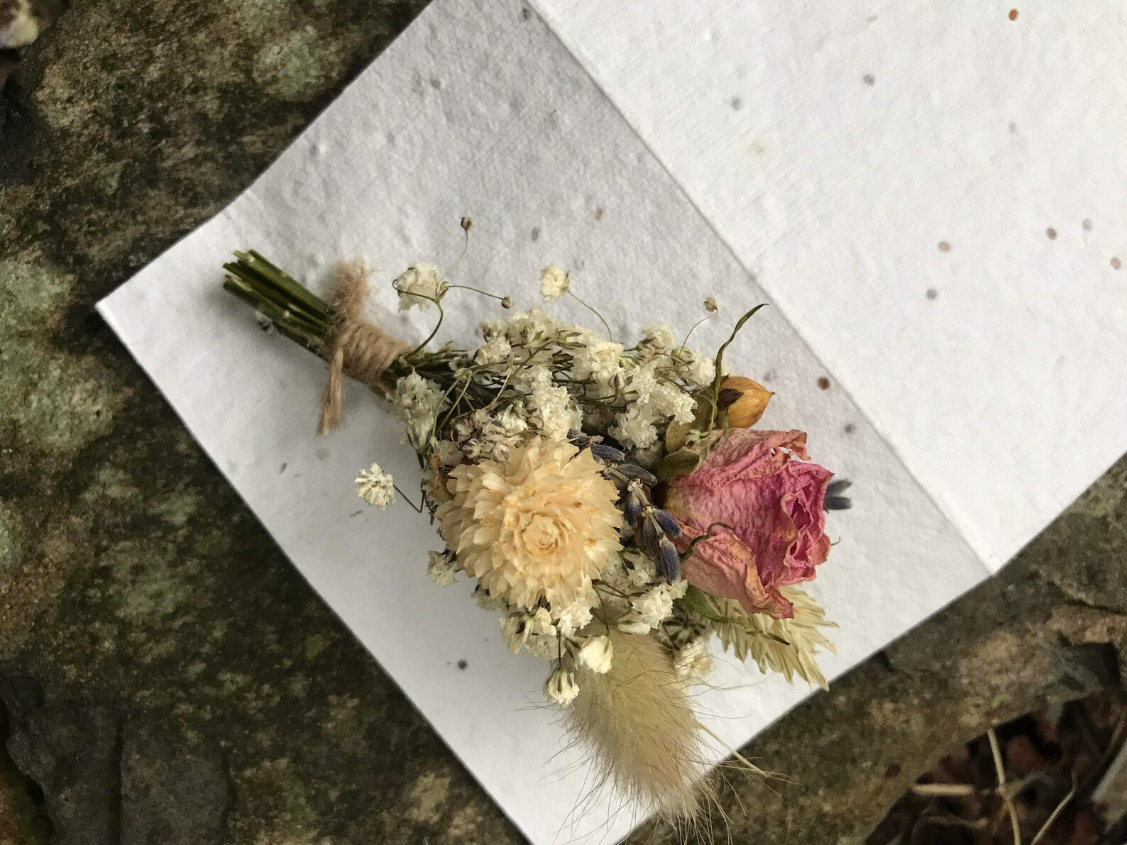 Plantable Birthday Card, Seed Paper, Everlasting Gift, Cards, Flower ...