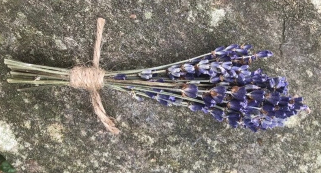 English Lavender Buttonholes, Dried Flower Buttonhole, Lavender ...
