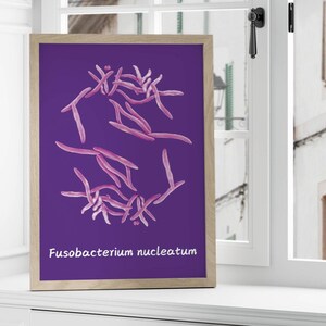 Microbiology Wall Art Bacteria Art Dentist Wall Art New Dental Office ...