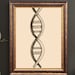 DNA Strand Wall Art Classroom Decor Science Poster High School Middle ...