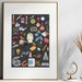 Biology Class Gallery Wall, Classroom Decor, High School Middle School ...