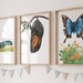 Life Cycle of a Butterfly Digital Download Caterpillar Butterfly Poster ...