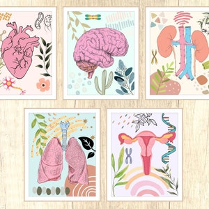 Science Wall Prints, Human Anatomy Paintings, Watercolor Print, High ...